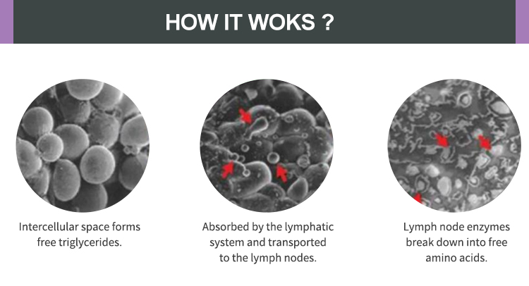 532nm Green Light Therapy Laser Stomach Fat Removal Machine - Buy Laser ...